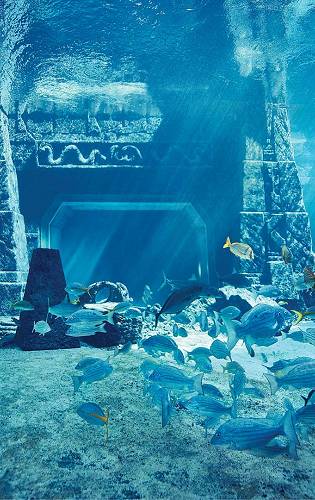 About Our Bahamas Vacation Resort | Atlantis Bahamas