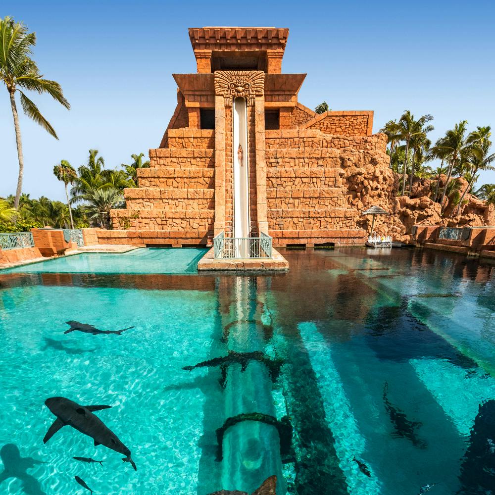 Special Offer for Local Residents | Atlantis Paradise Island