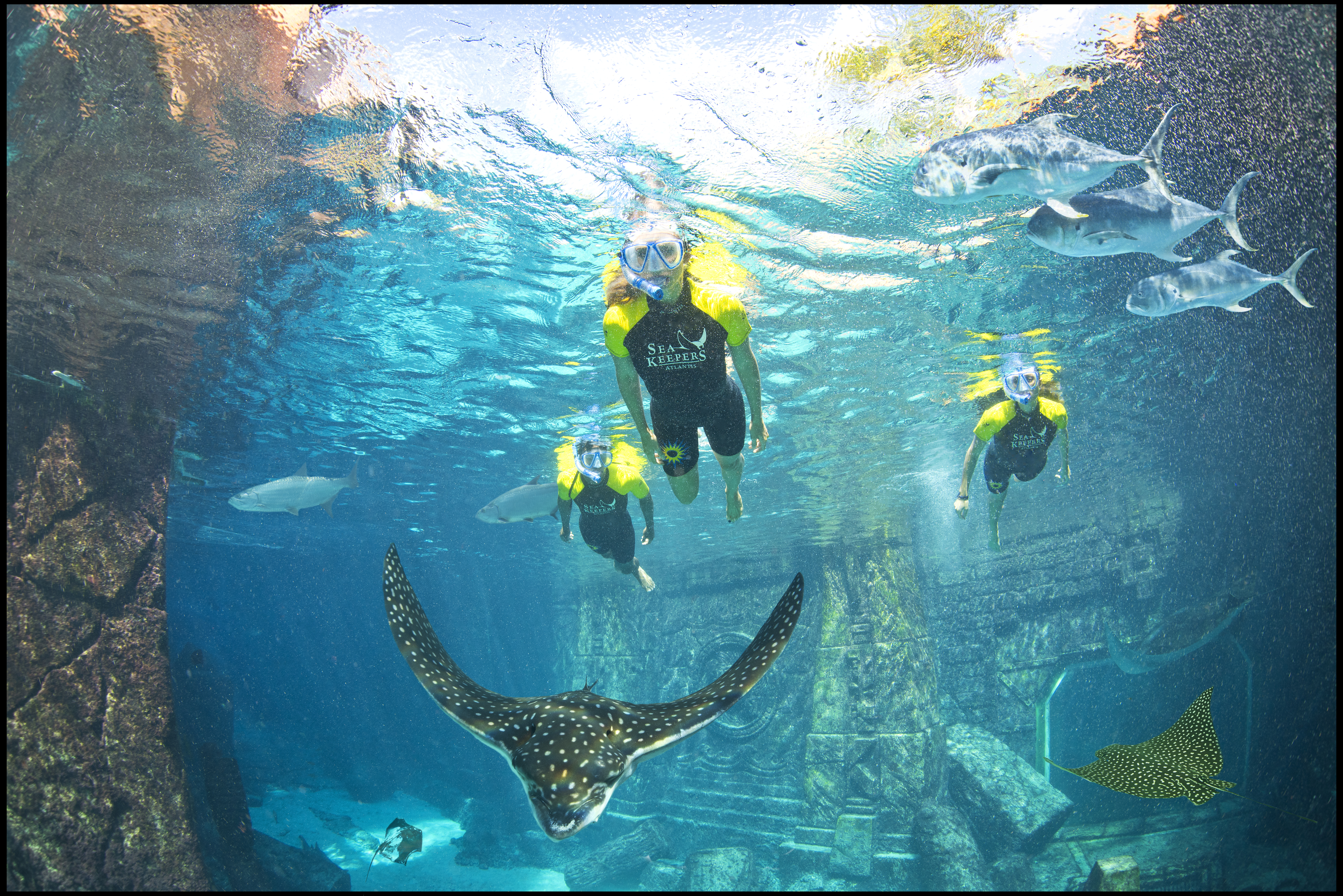 Gift Guide to Atlantis | Atlantis Bahamas