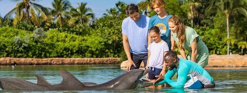 Swim with Dolphins | Dolphin Cay | Atlantis Bahamas